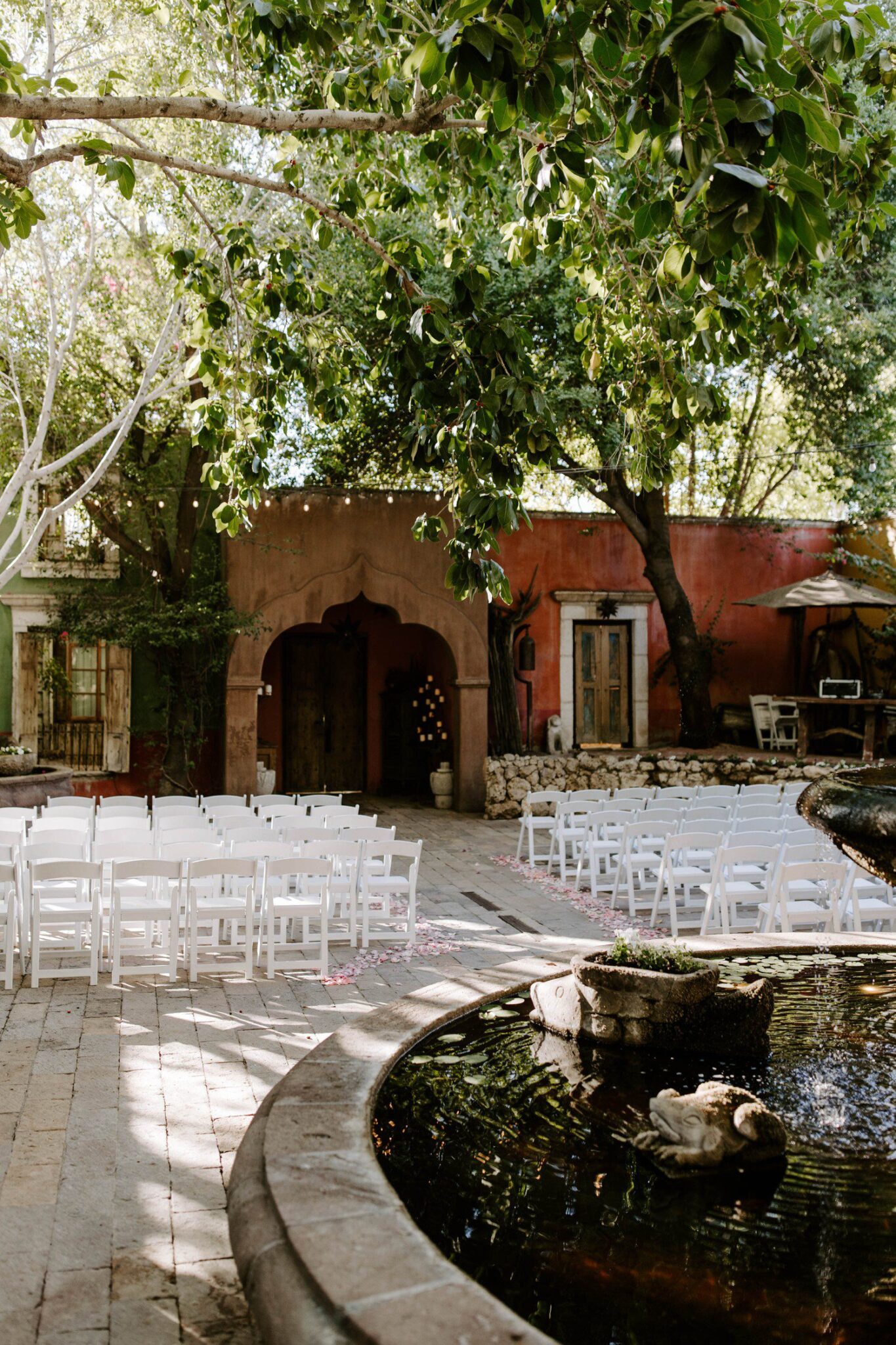 Phoenix Wedding at Boojum Tree | Katelyn Faye Photography